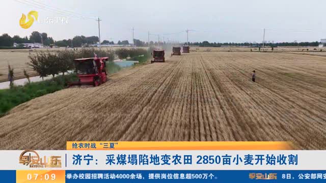 【抢农时战“三夏”】济宁：采煤塌陷地变农田 2850亩小麦开始收割_早安山东_山东卫视_山东网络台_齐鲁网